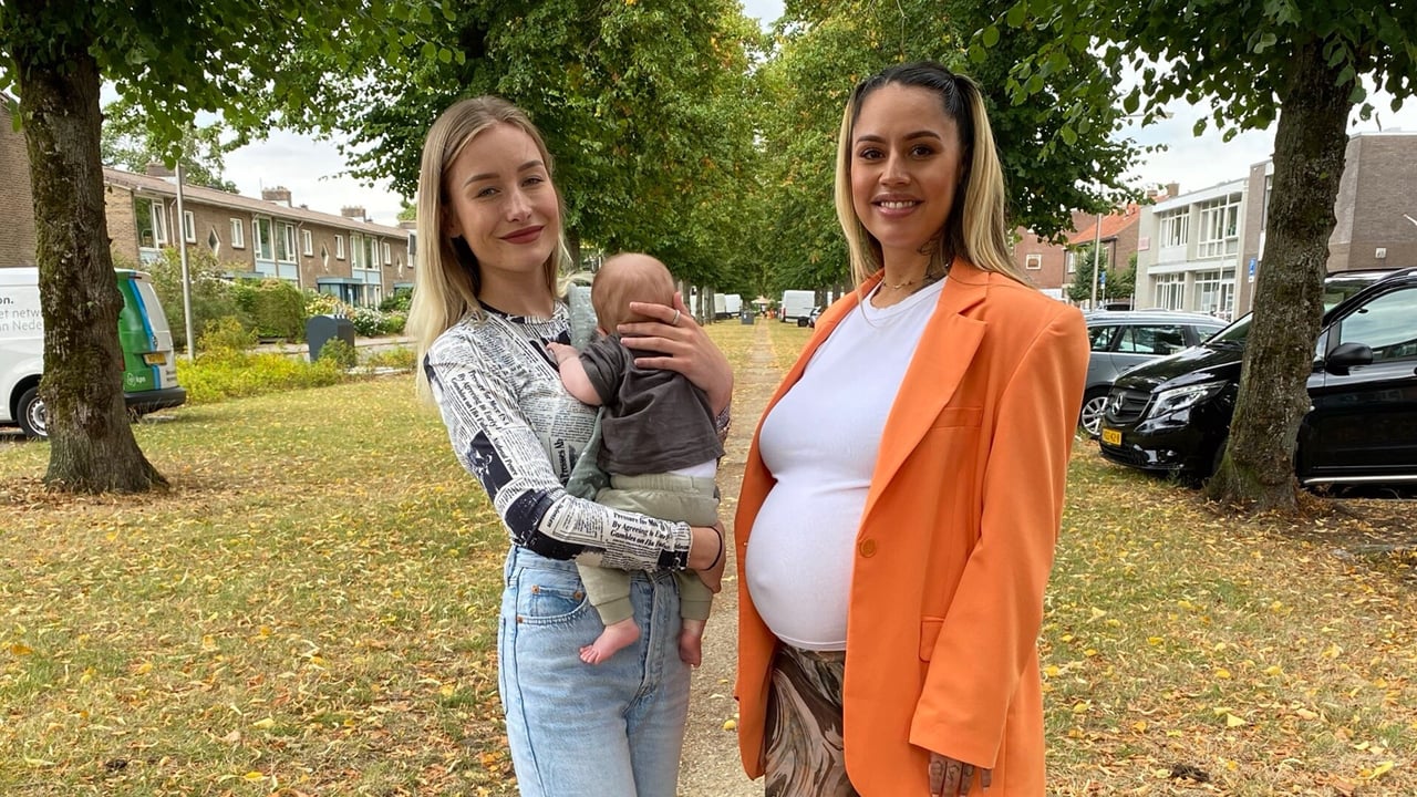 Vier Handen Op Eén Buik gemist? Kijk live en on demand | NLZIET